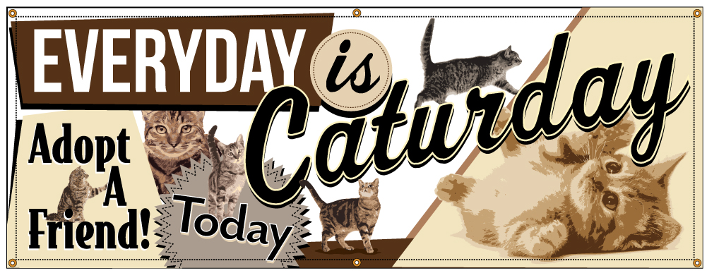 Caturday Pictures